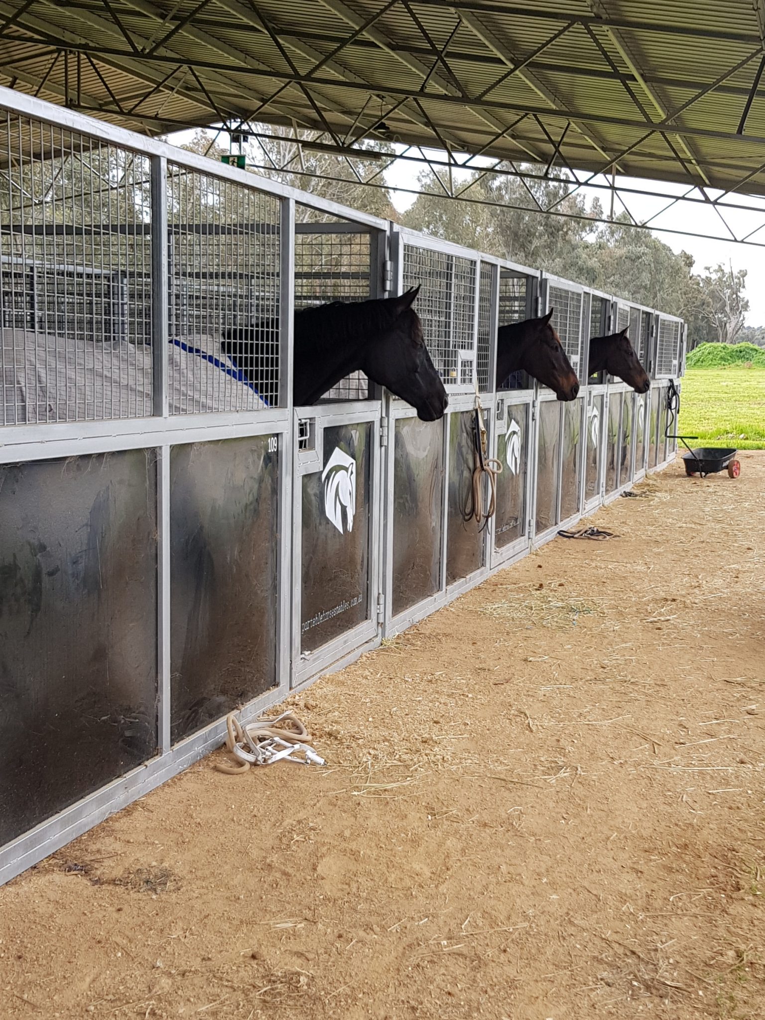 Albury Wodonga Equestrian Centre